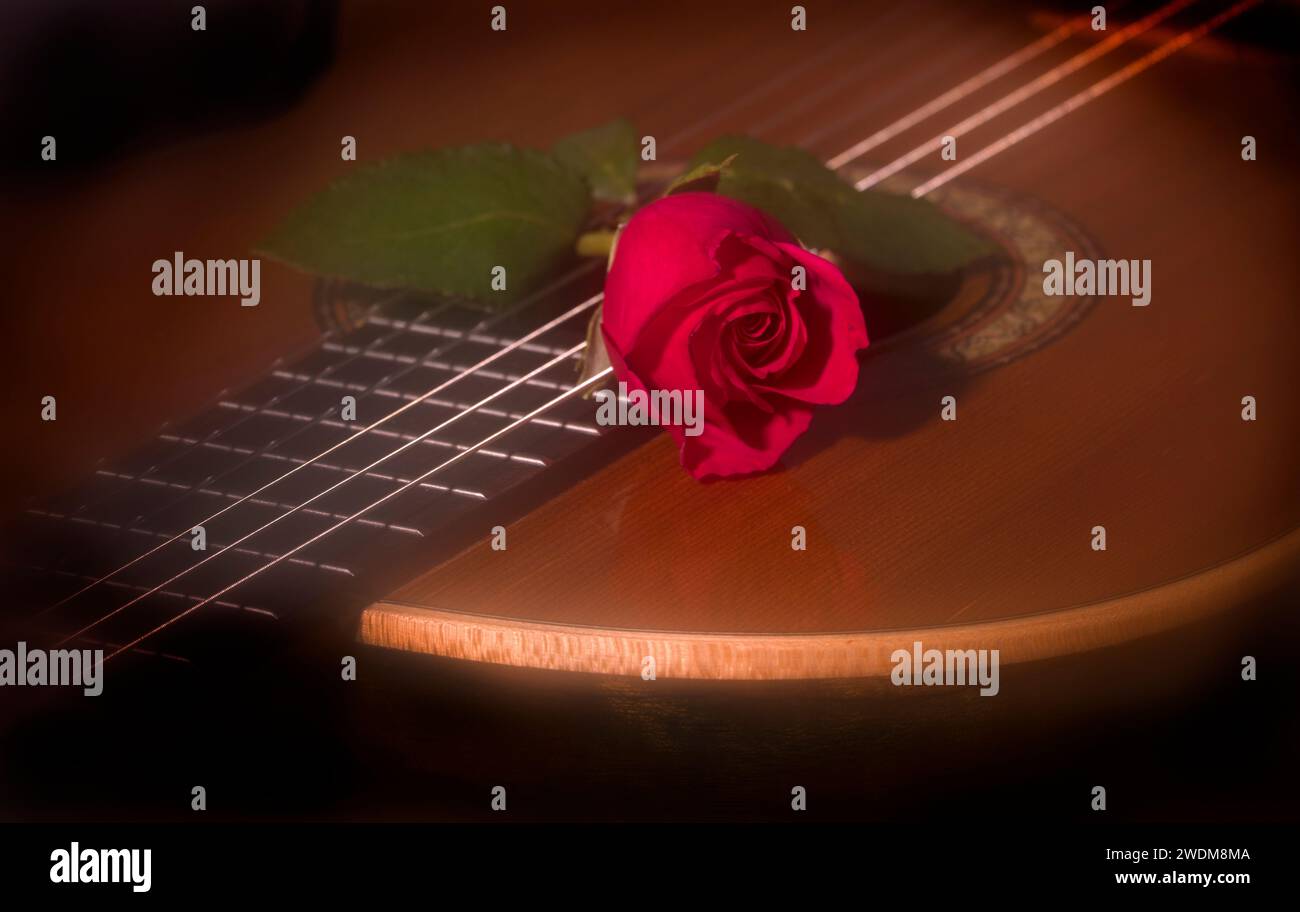 Red Rose on Classical Guitar Stock Photo - Alamy