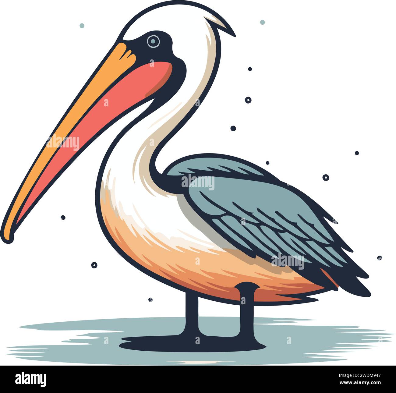 Pelican vector illustration. Isolated on a white background Stock ...