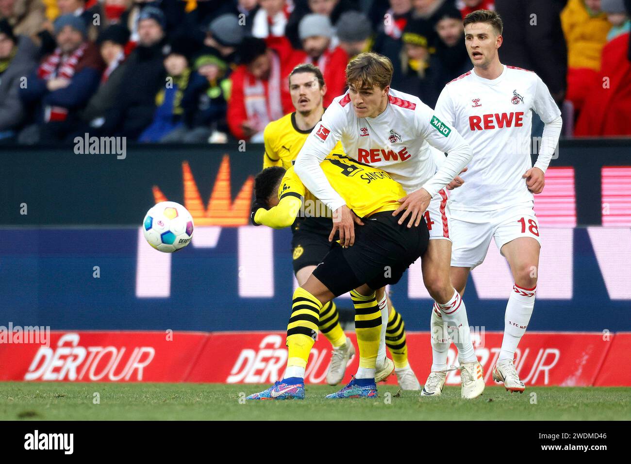 Köln, Deutschland, 1. Fussball Bundesliga 18. Spieltag 1.FC Köln ...
