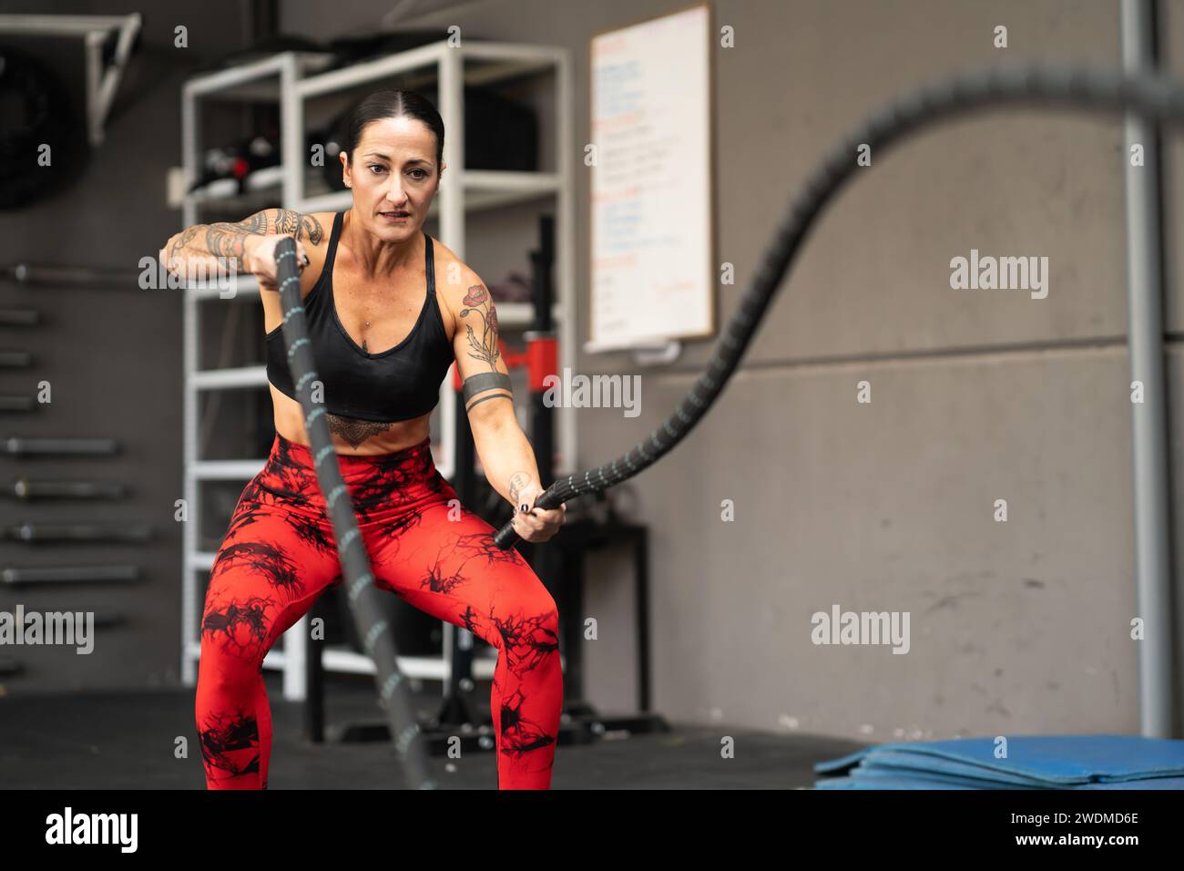 Strong woman working out equipment hi-res stock photography and images ...