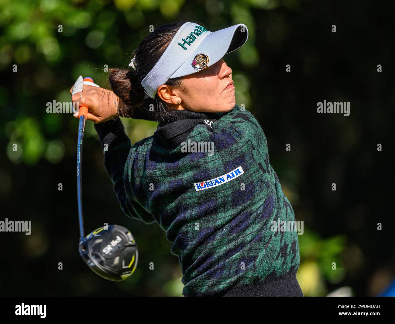 2024 0068 jpg hi-res stock photography and images - Alamy