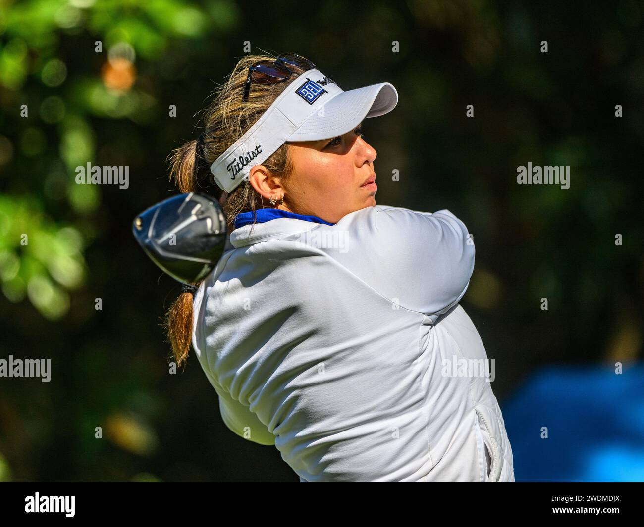 2024 0085 jpg hi-res stock photography and images - Alamy