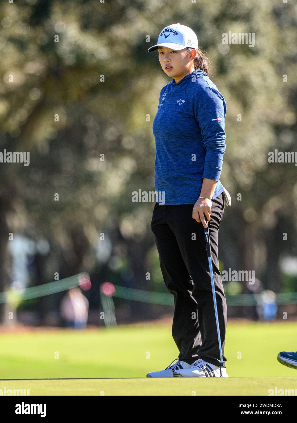 Orlando, FL, USA. 21st Jan, 2024. Ruoning Yin waits to putt on the ...