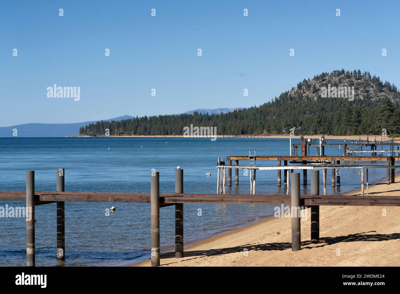Large Sugar Pine cones in focus, with view of lake, chairs on beach, and pier out of focus ...