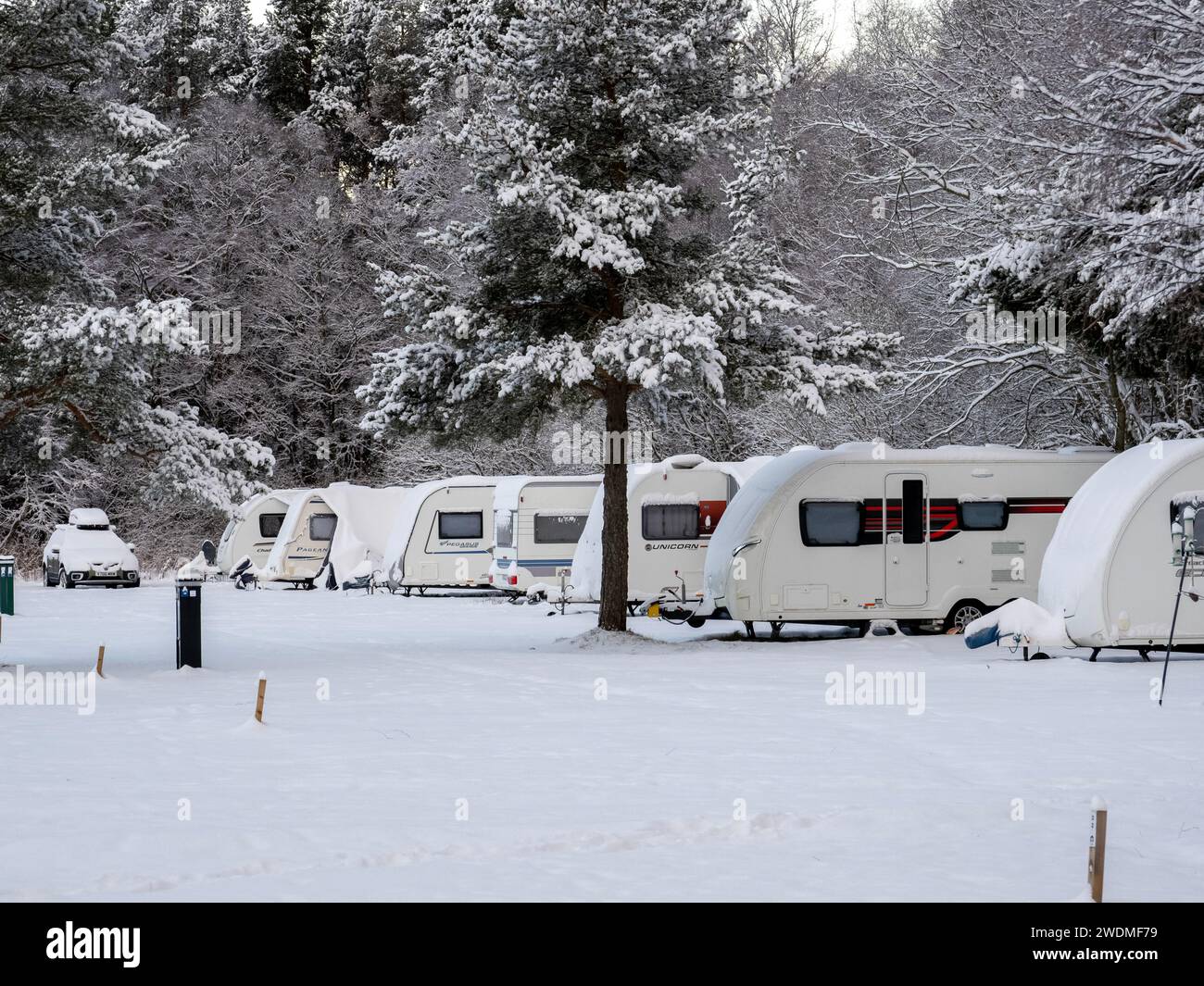 Aviemore vacations hi-res stock photography and images - Alamy