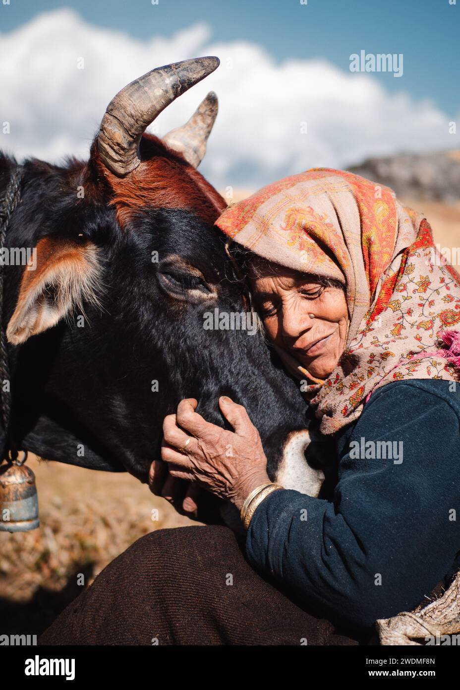 Cow and woman farmer Stock Photo - Alamy