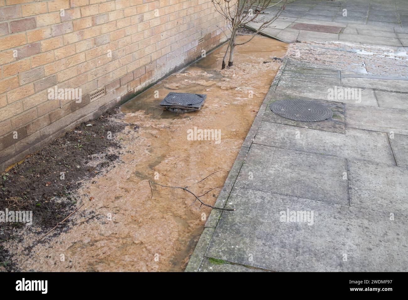 Closeup to a drainage issue where pipes are blocked and brown waste ...