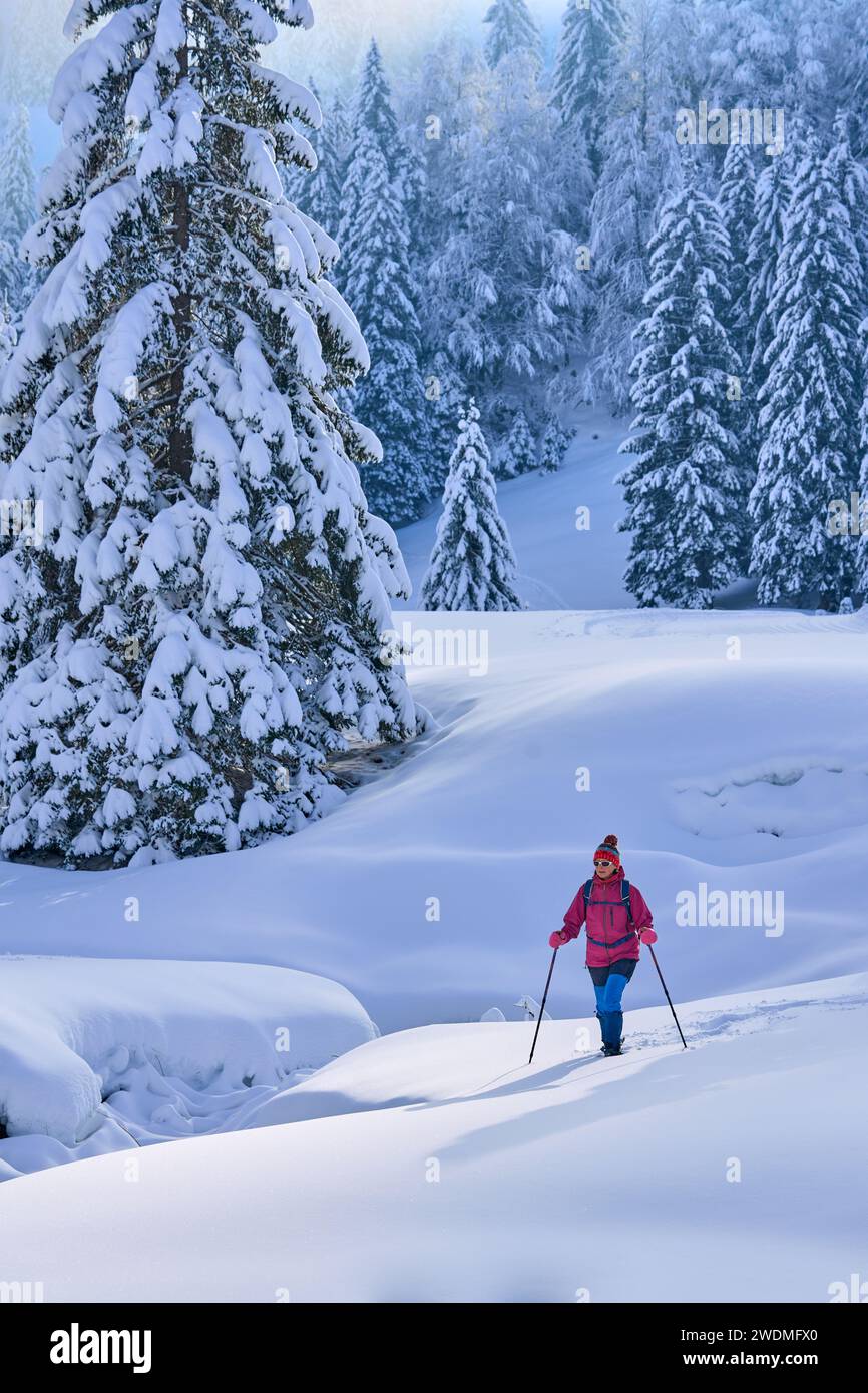 nice and active senior woman hiking with snow shoes in deep powder snow ...