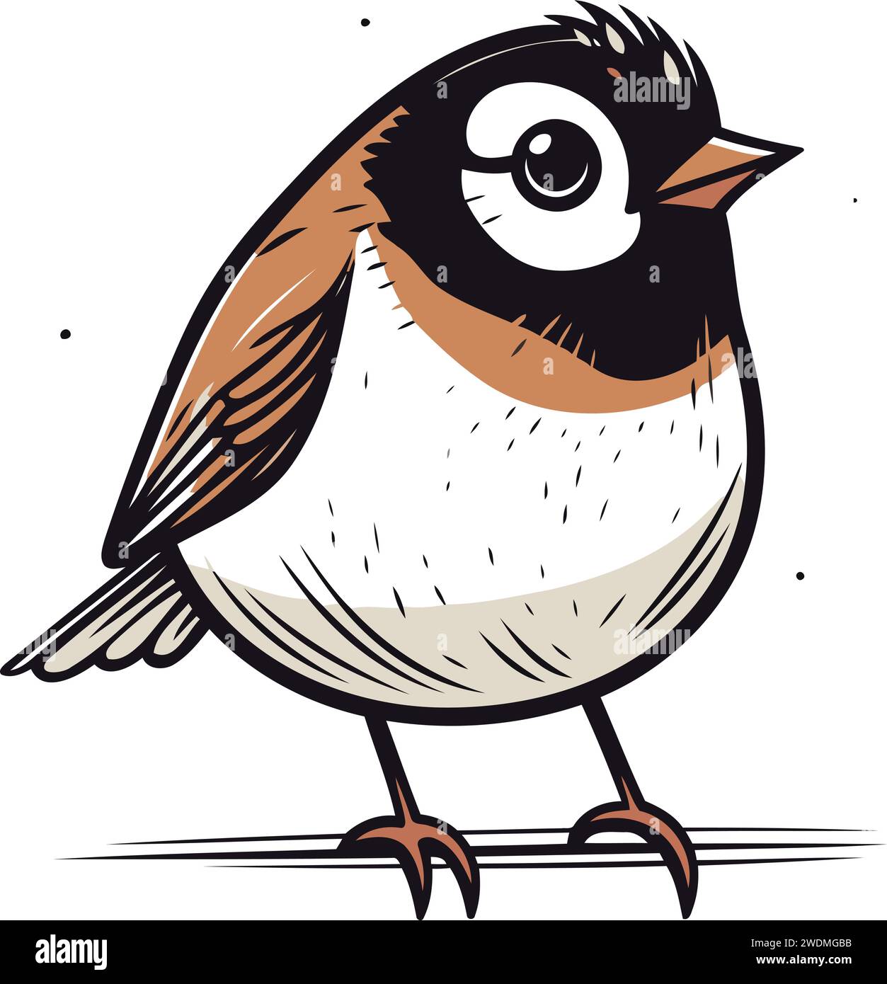 Chaffinch not flying Stock Vector Images - Alamy