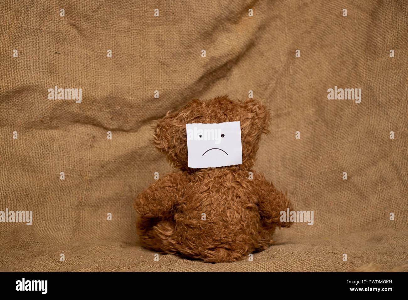 A brown bear sits with his back, and on his back there is a paper drawn ...