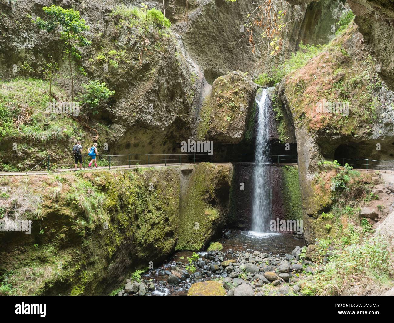 View of waterfall crossing the path at levada, water irrigation channel ...