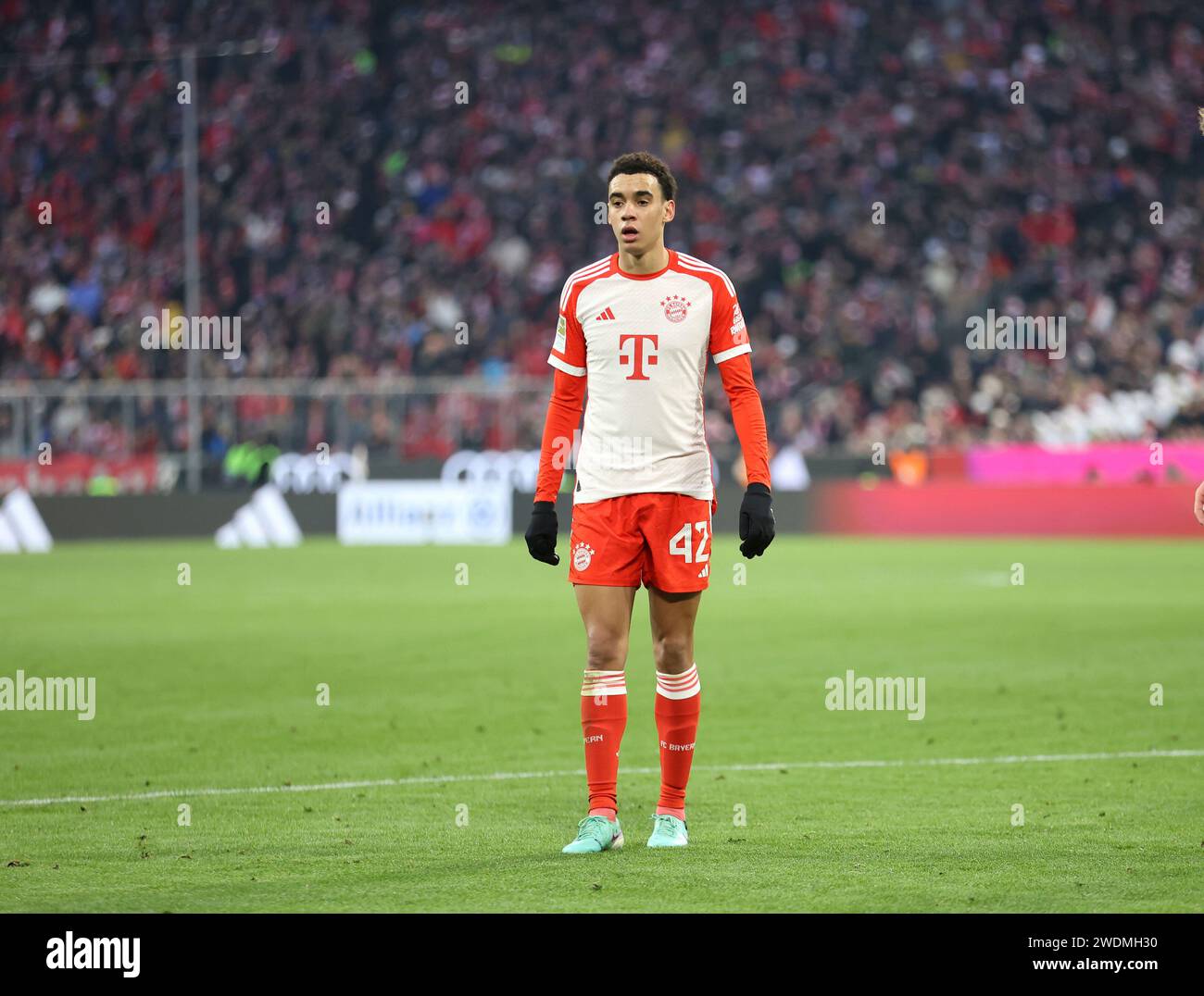 Jamal musiala fc bayern münchen stehend hi-res stock photography and ...