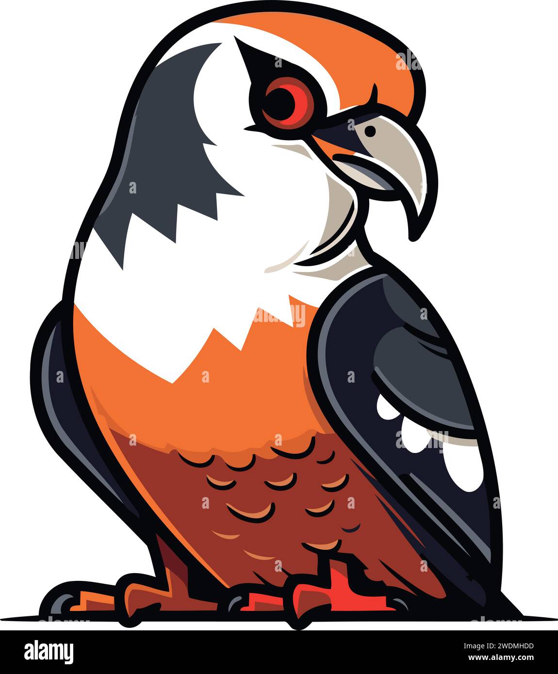 The red tailed hawk Stock Vector Images - Alamy