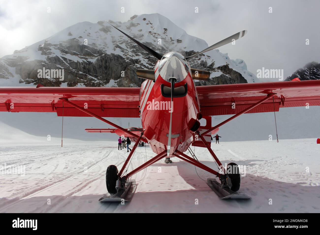 Alaska, Glacier landing at Don Sheldon Amphitheater in Denali National ...