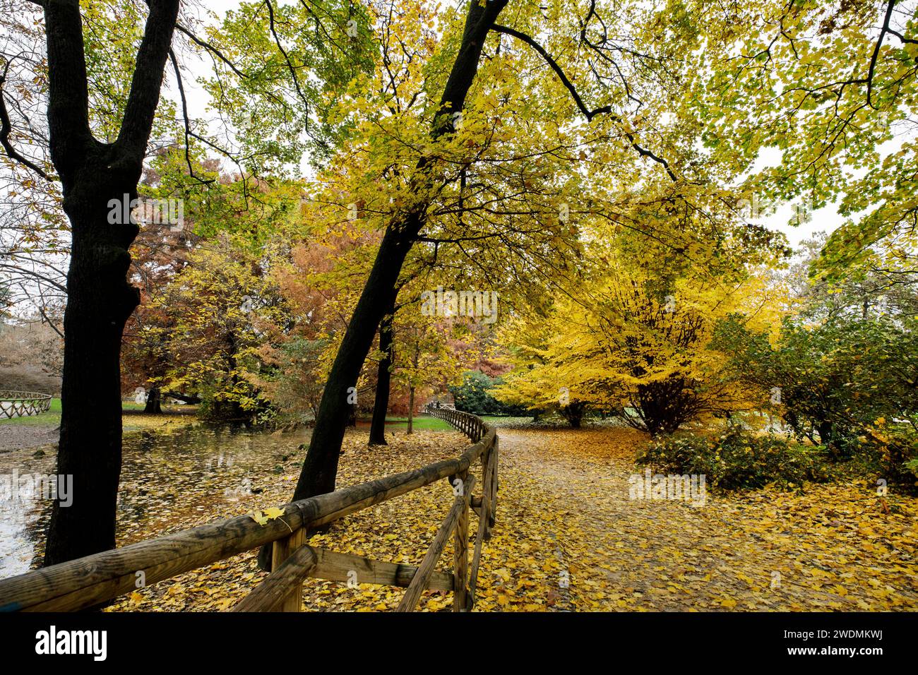 Rustic wooden fences along pathways and autumn colours by a lake in ...