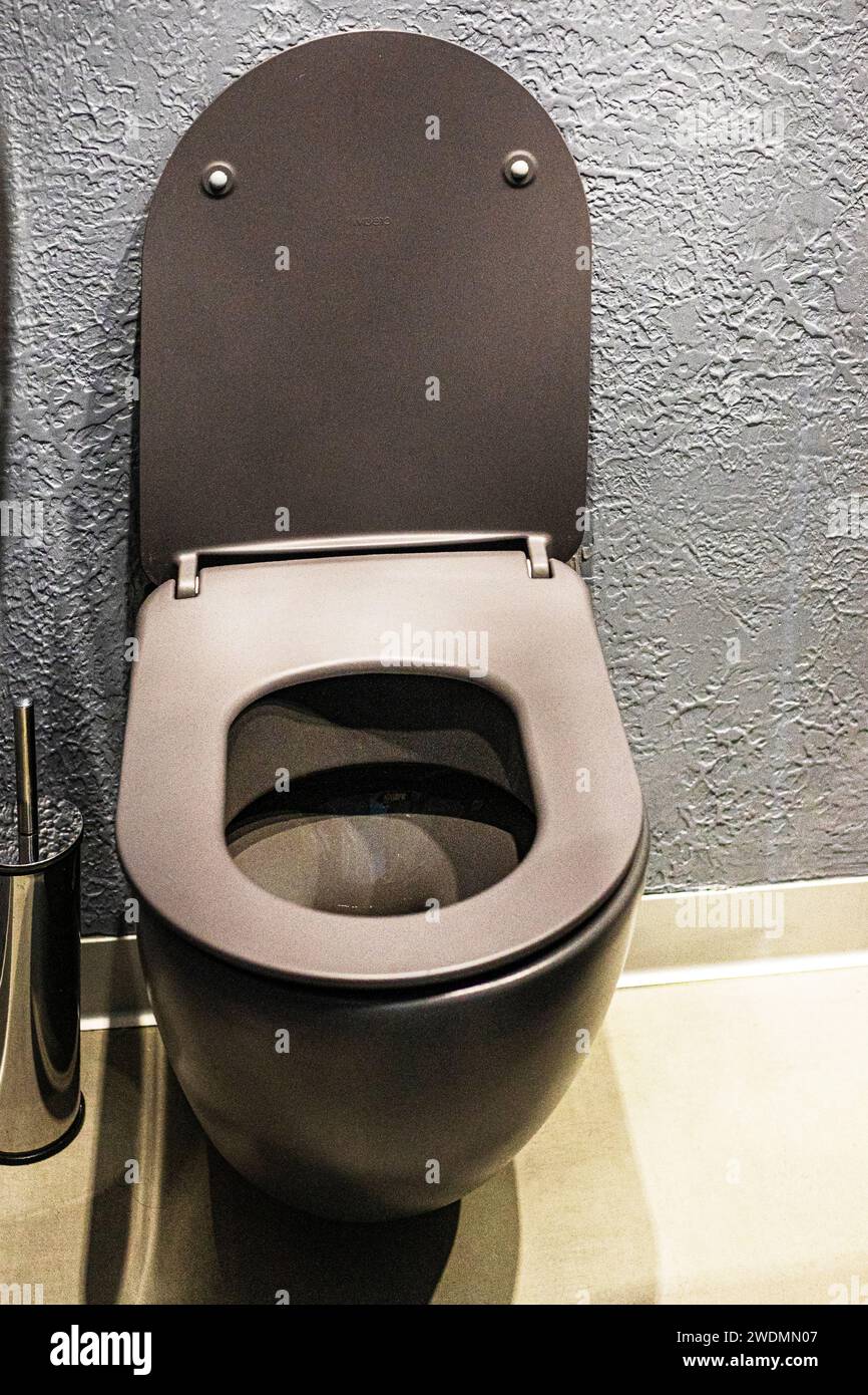 gray modern toilet in a gray interior Stock Photo - Alamy
