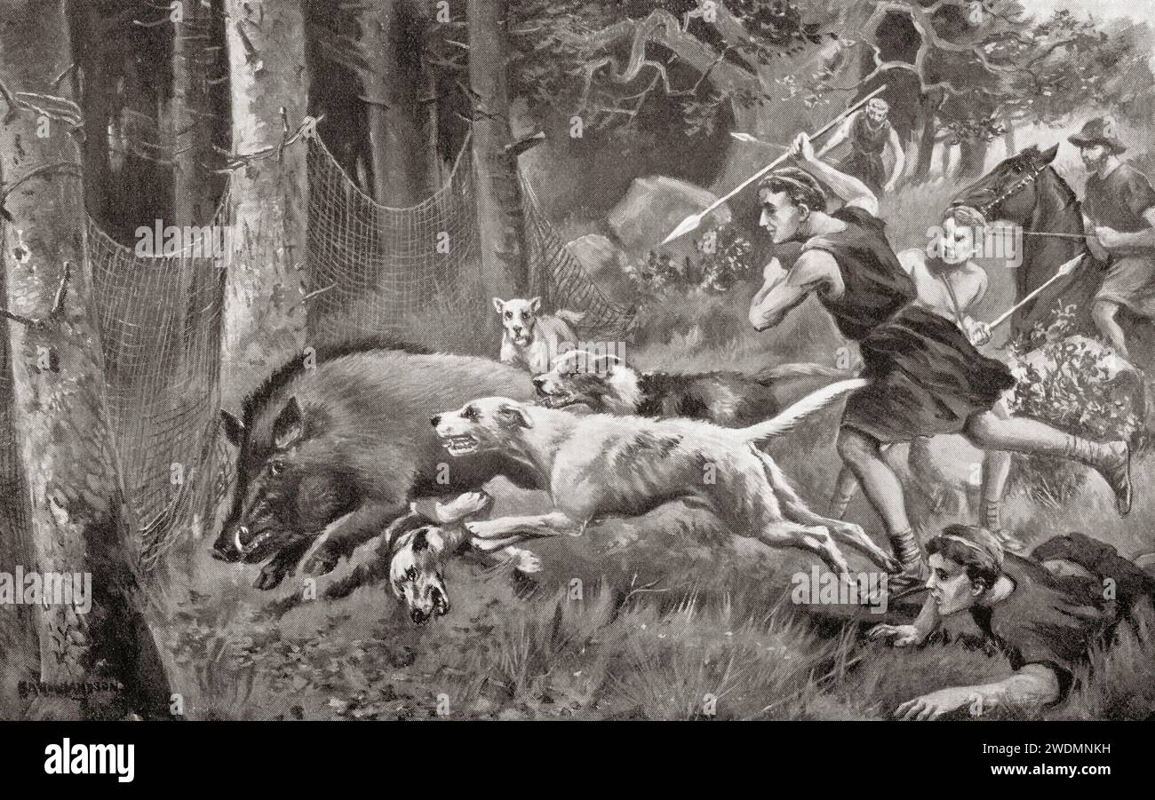 Hunting wild boar with dogs and spears in ancient Rome Stock Photo - Alamy
