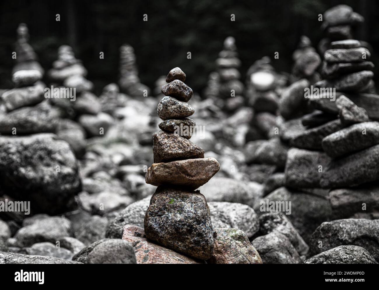 Lightning, thunder, heavy rain. Storms during which it is better not to ...