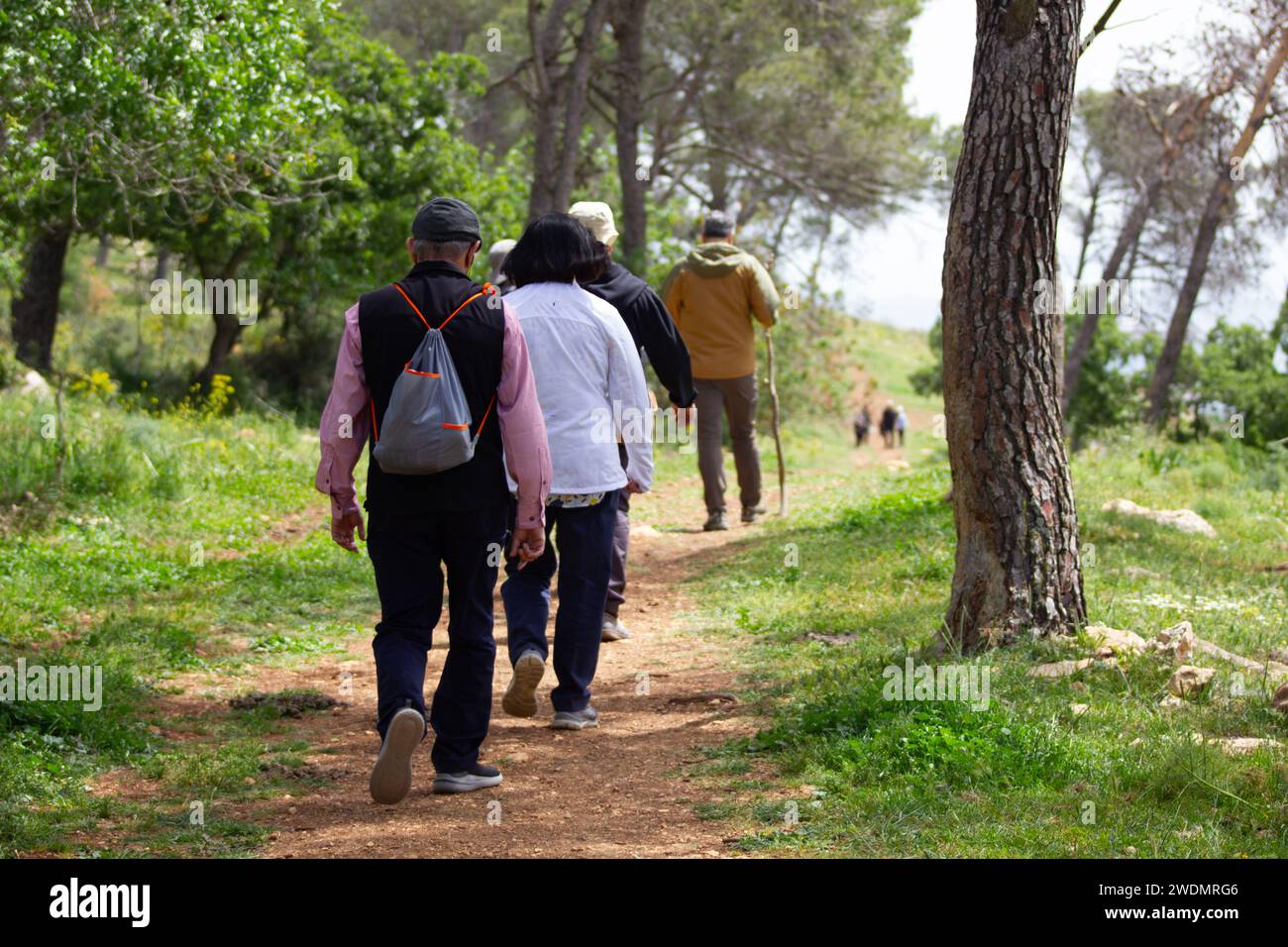 Man walking along woodland path hi-res stock photography and images - Alamy