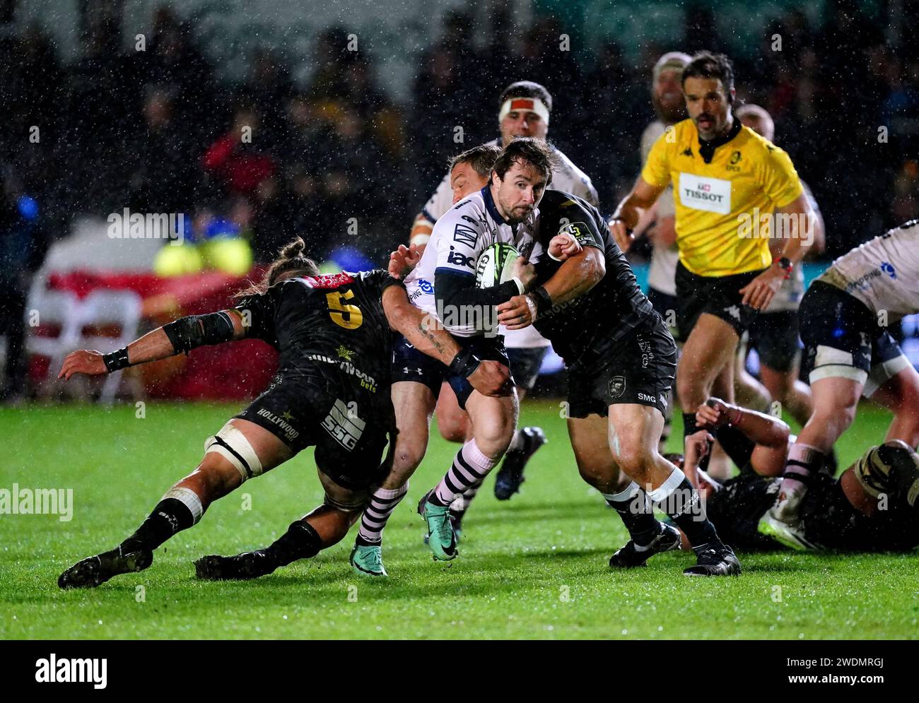 Dragons rfc hi-res stock photography and images - Alamy