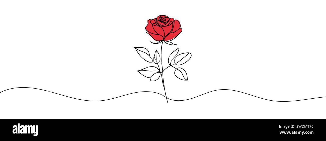 One line drawing of a rose isolated Stock Vector Image & Art - Alamy