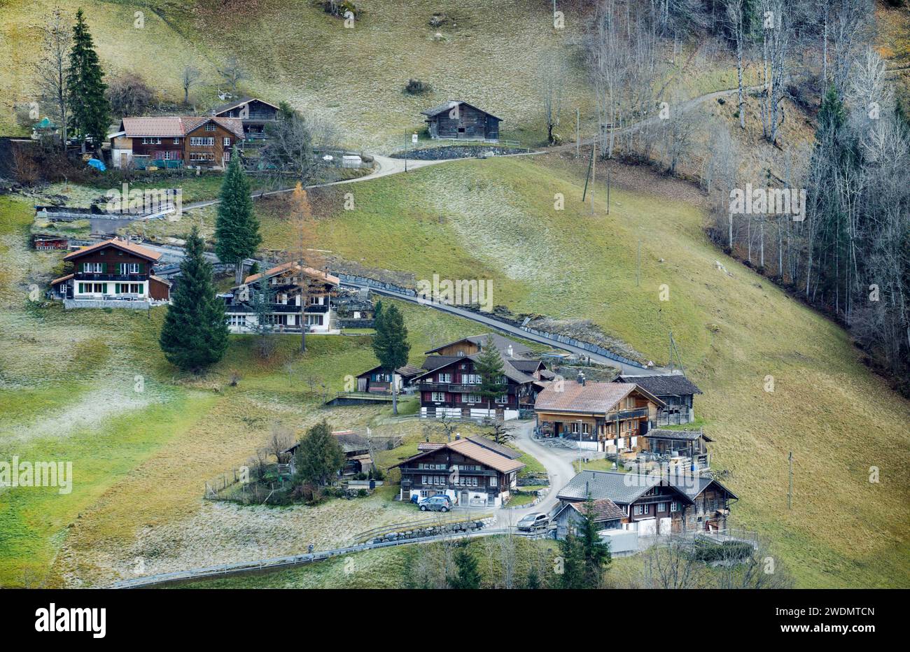 Traditional alpine Swiss chalets on the slopes of alpine pastures at ...