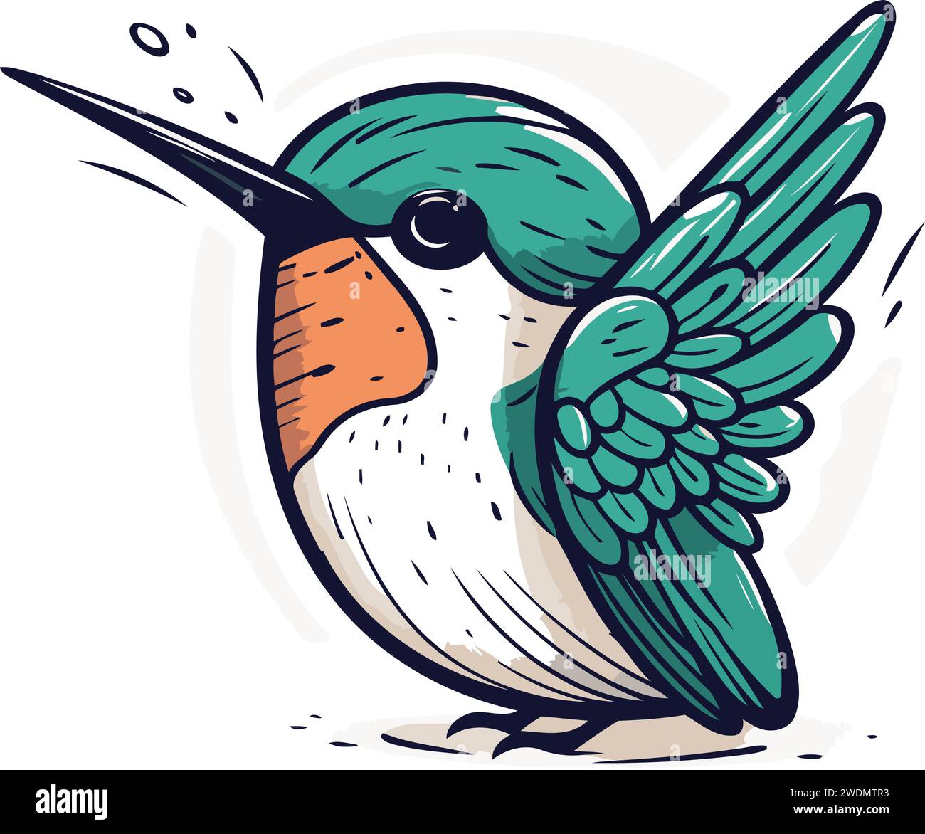 Hand drawn illustration kingfisher Stock Vector Images - Alamy
