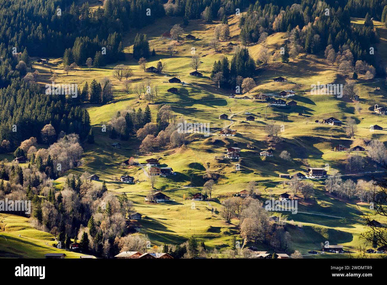 Traditional alpine Swiss chalets on the slopes of alpine pastures at ...