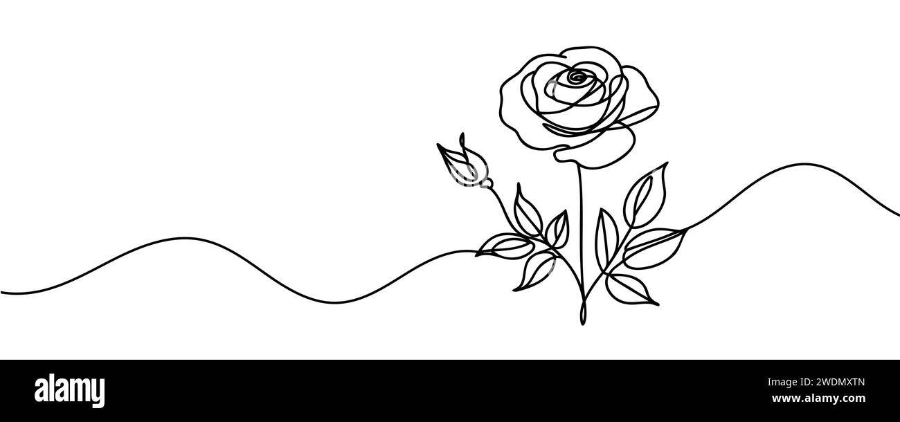 One line drawing of a rose isolated Stock Vector Image & Art - Alamy