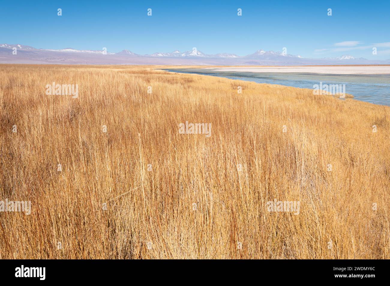 Viajar en el desierto de atacama hi-res stock photography and images ...