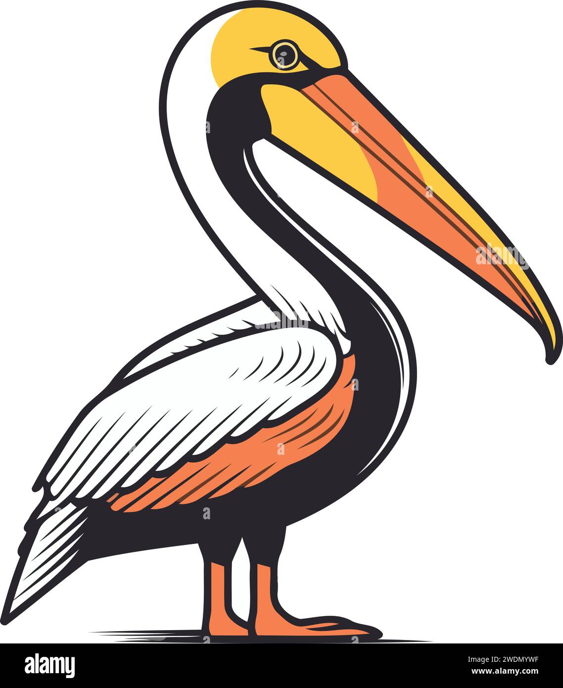 Pelican vector illustration. Isolated pelican on white background Stock ...