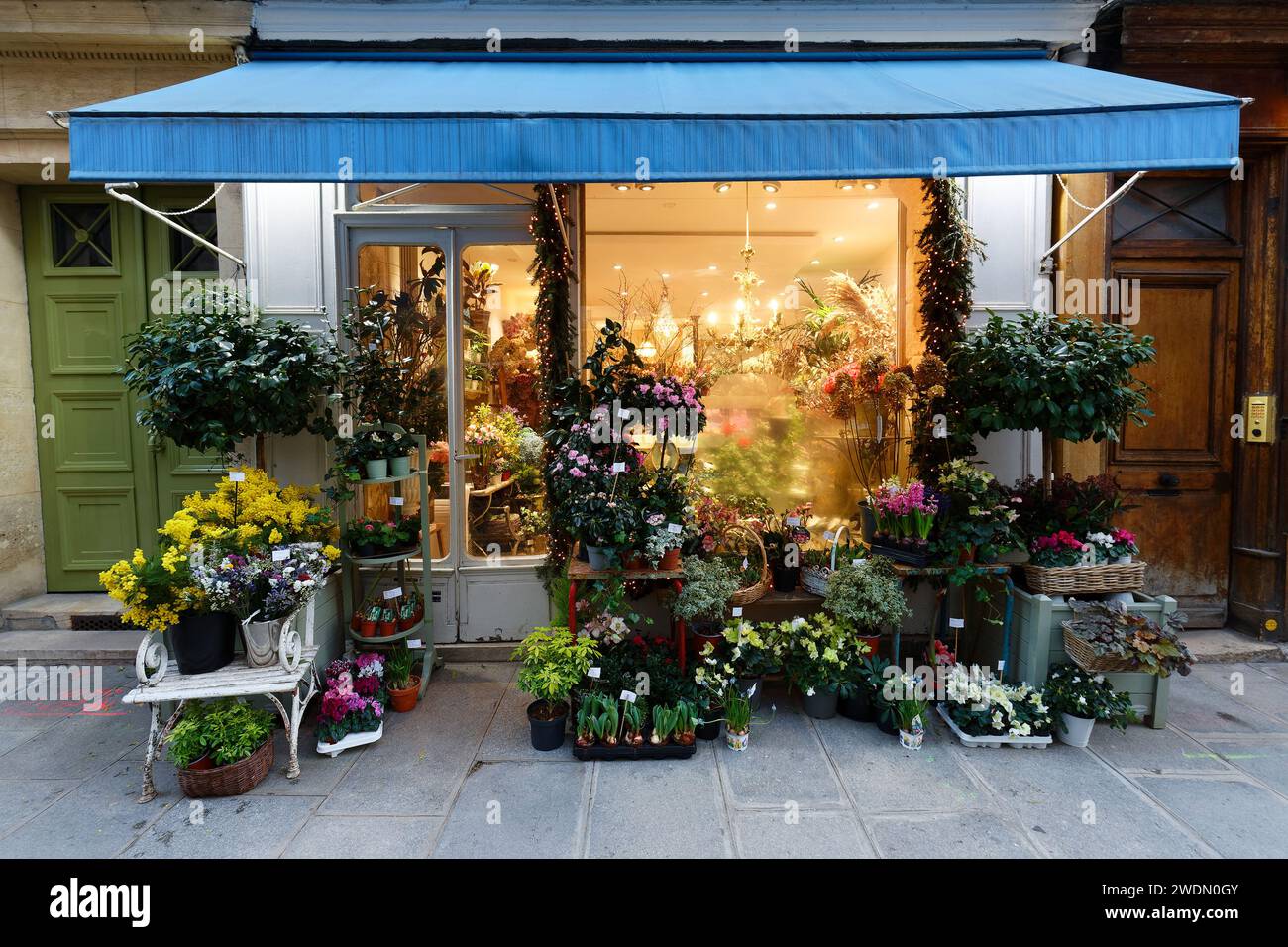Outdoor flower shop in Paris, France Stock Photo - Alamy