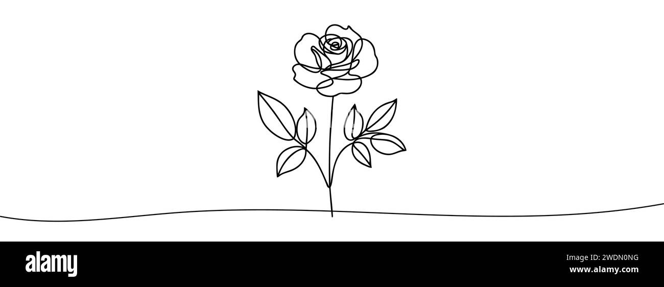 One line drawing of a rose isolated Stock Vector Image & Art - Alamy