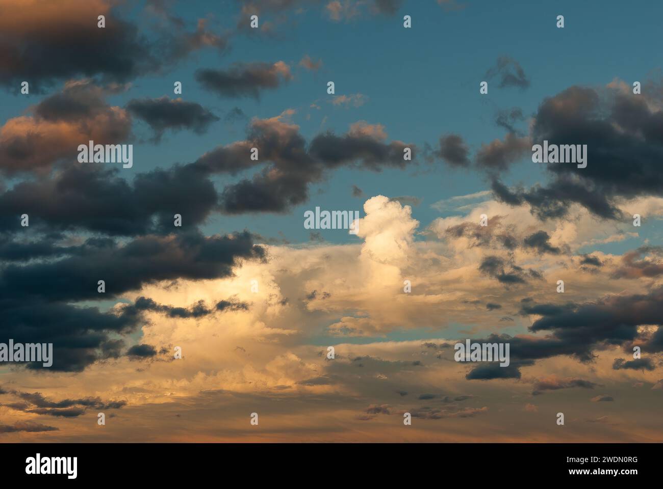 Mult hi-res stock photography and images - Alamy