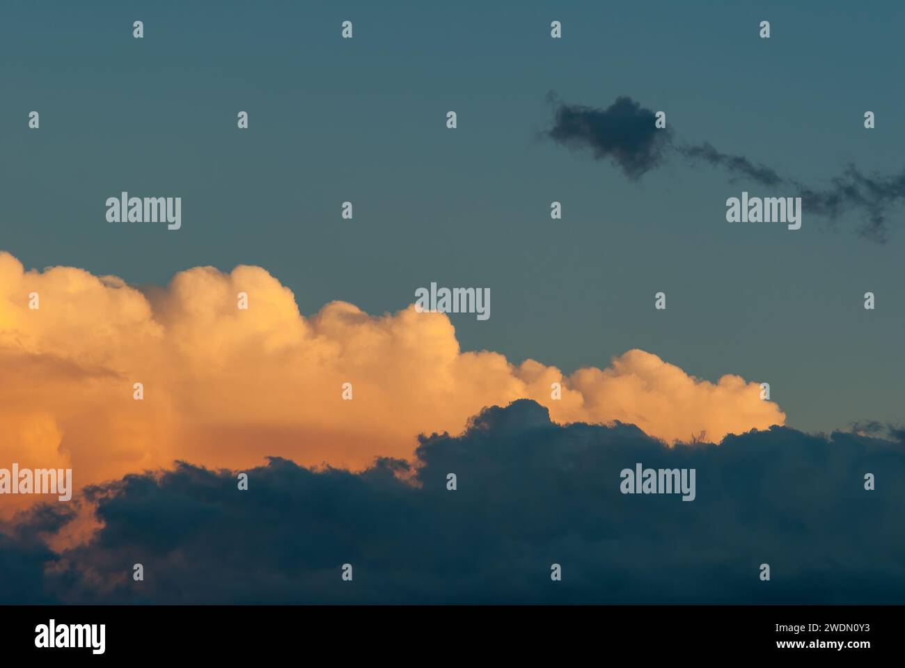 Mult hi-res stock photography and images - Alamy