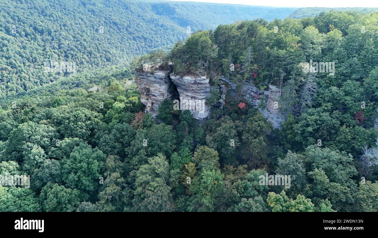 A breathtaking landscape featuring a majestic mountain adorned with ...