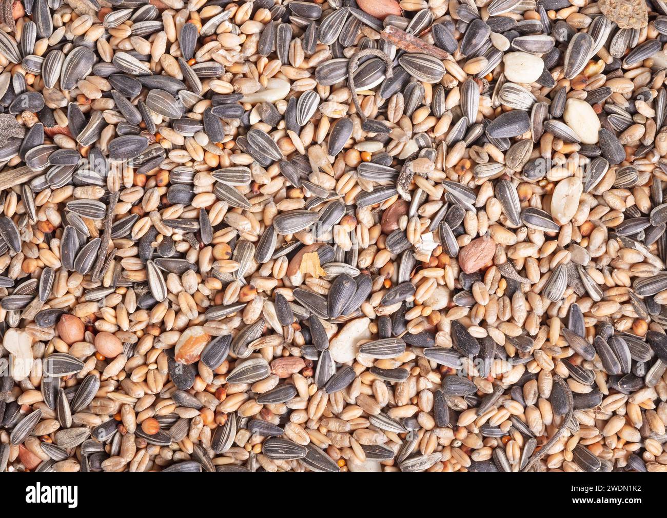 Table seed bird food mix, full frame Stock Photo - Alamy