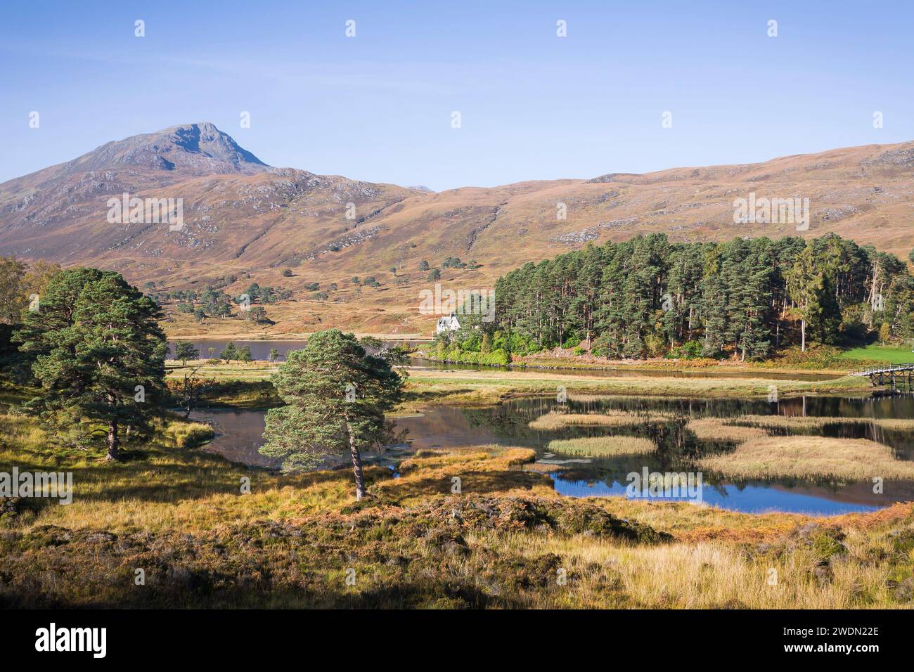 Glen Affric landscape with lake, trees and mountain. Scottish Highlands ...