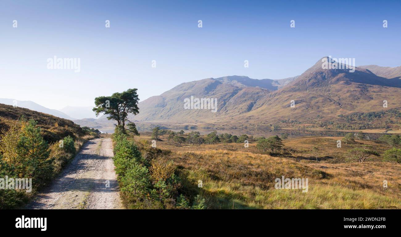 Dirt road through remote Scottish Highlands landscape. Glen Affric ...