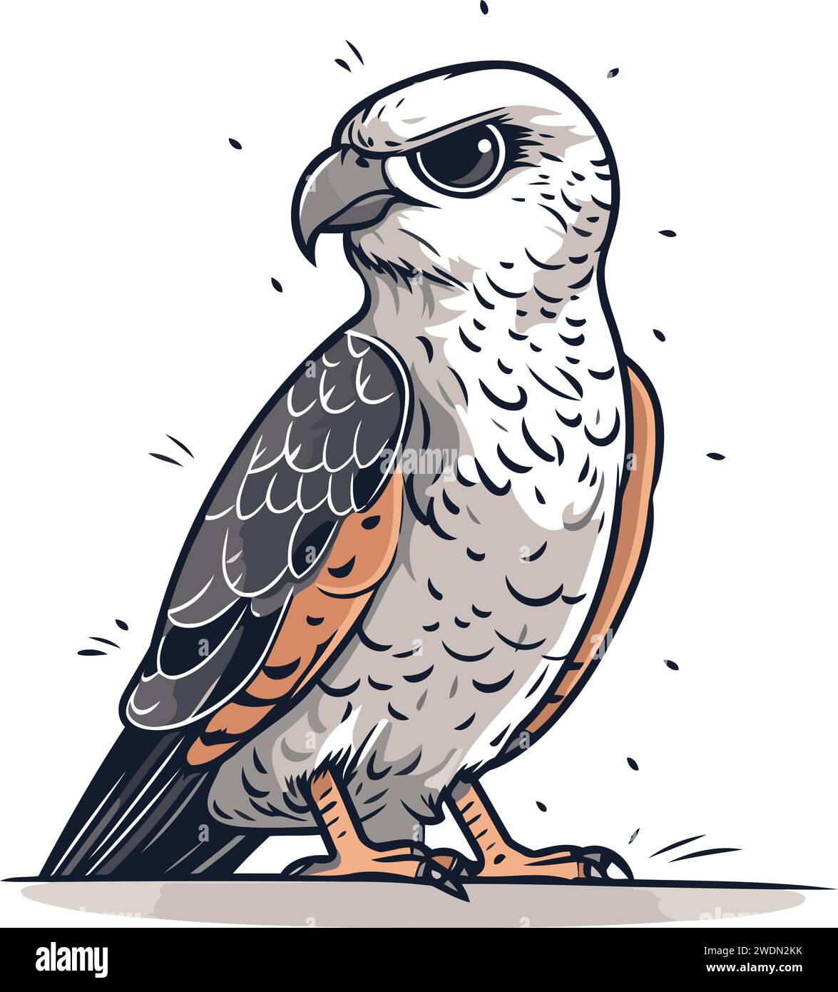 Falconry art Stock Vector Images - Alamy