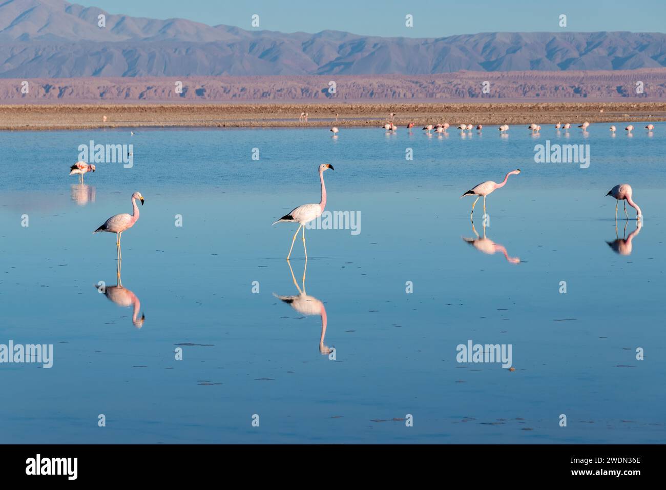 Viajando en el agua hi-res stock photography and images - Alamy