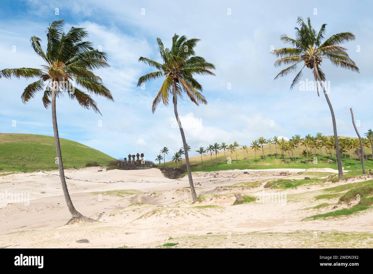Playa de rapa nui hi-res stock photography and images - Alamy