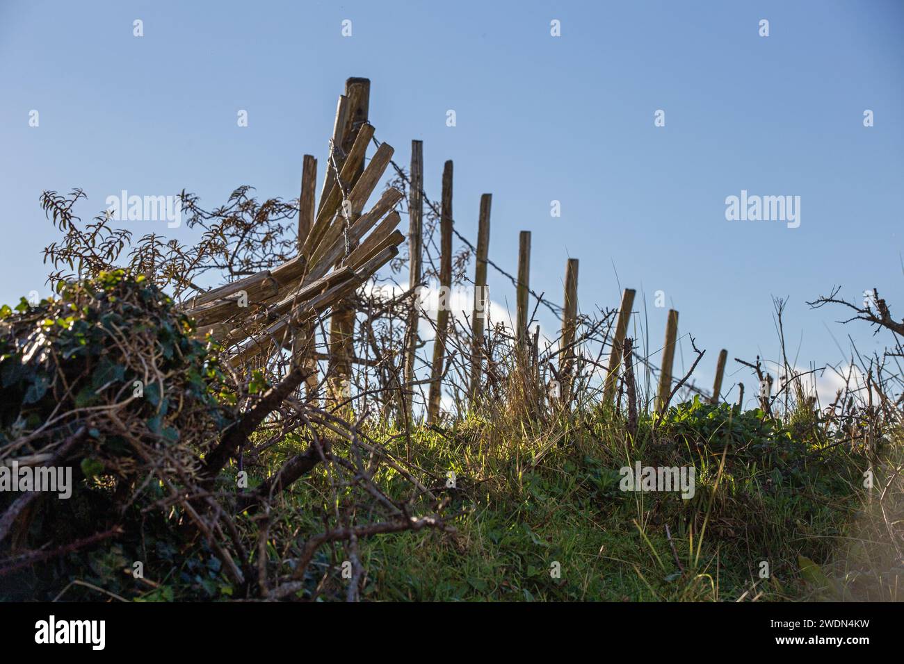 Timber fencing hi-res stock photography and images - Alamy