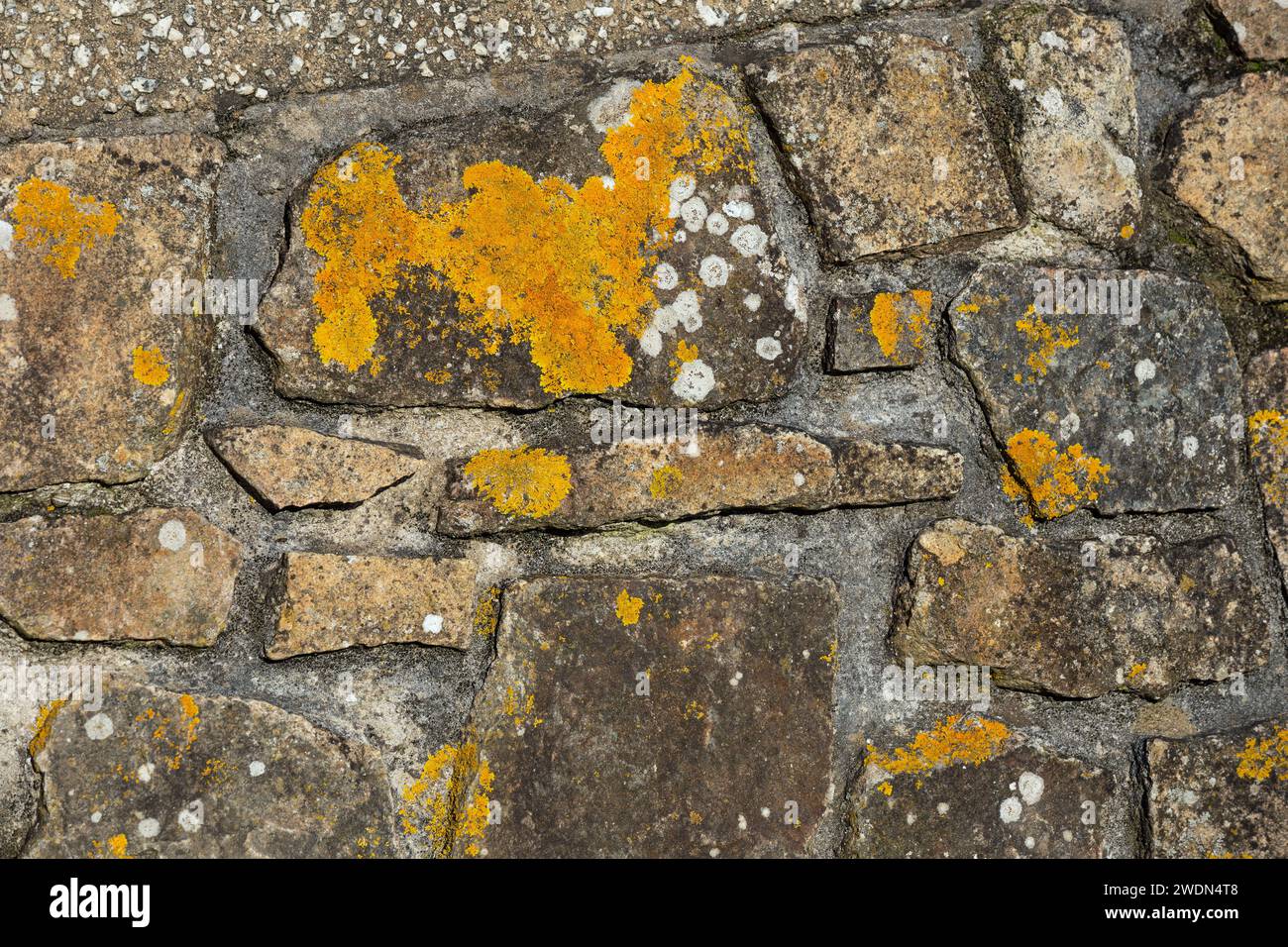 Crazy stone pattern hi-res stock photography and images - Alamy