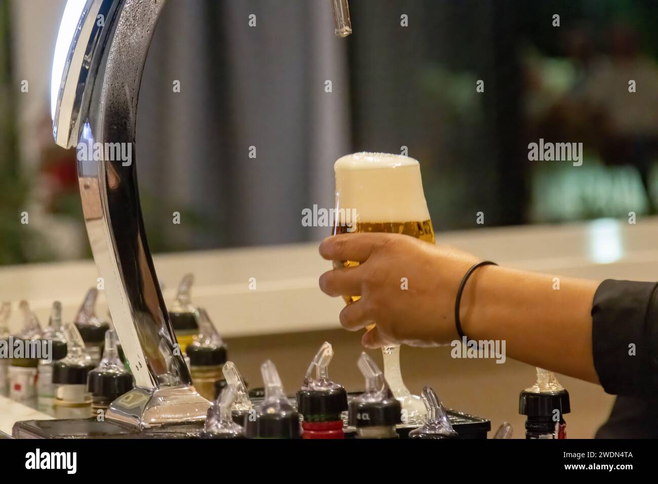 Bartender pouring a draft beer Stock Photo - Alamy