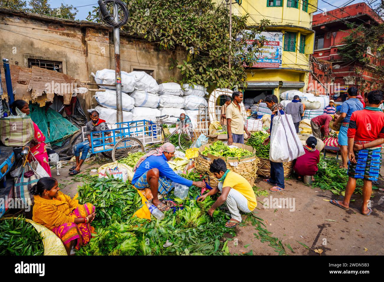 A roadside informal vegetable food market stalls and sellers in Strand ...