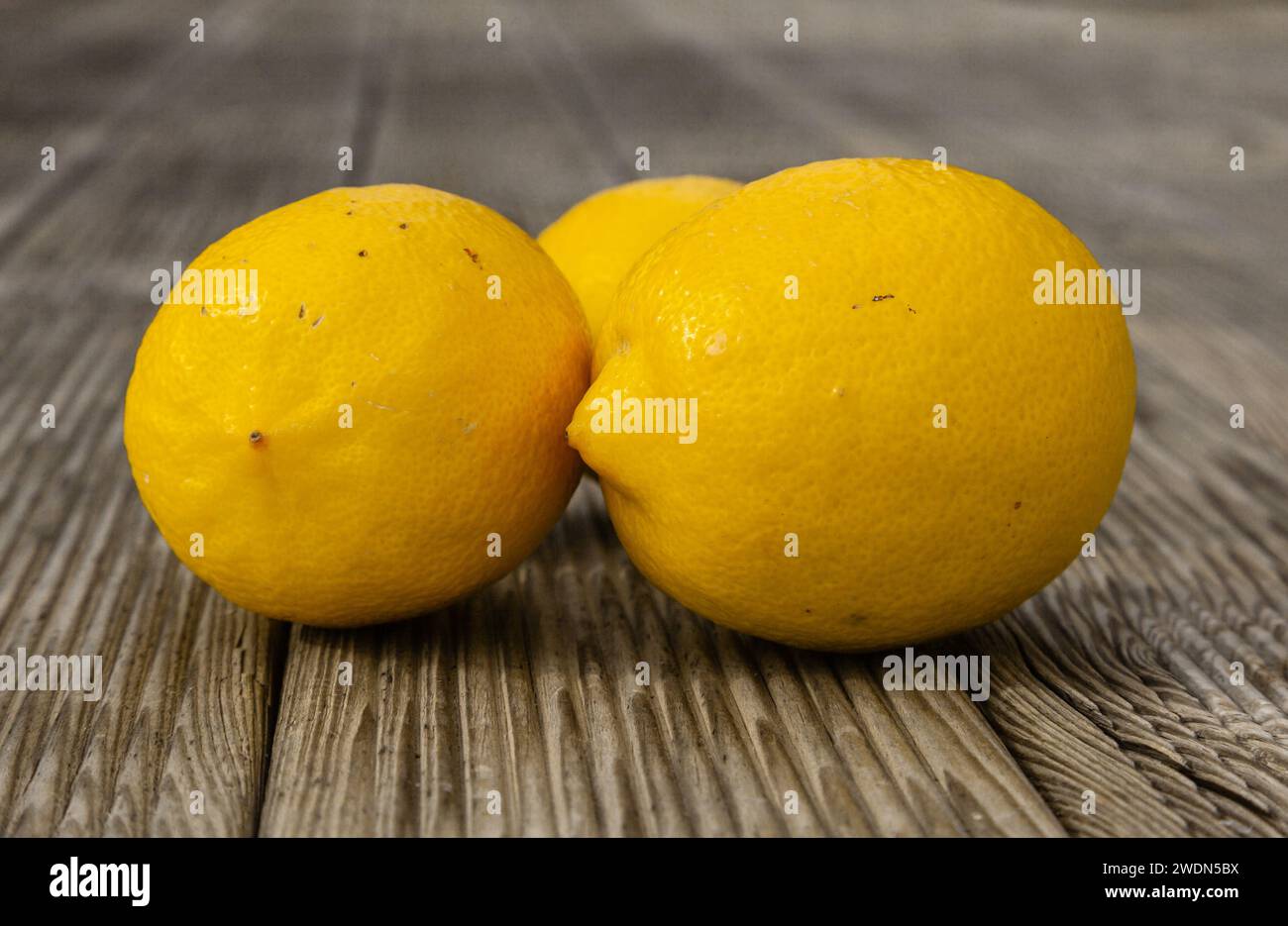 Organic lemons on the wooden floor. Ripe lemons. Front view an close up ...