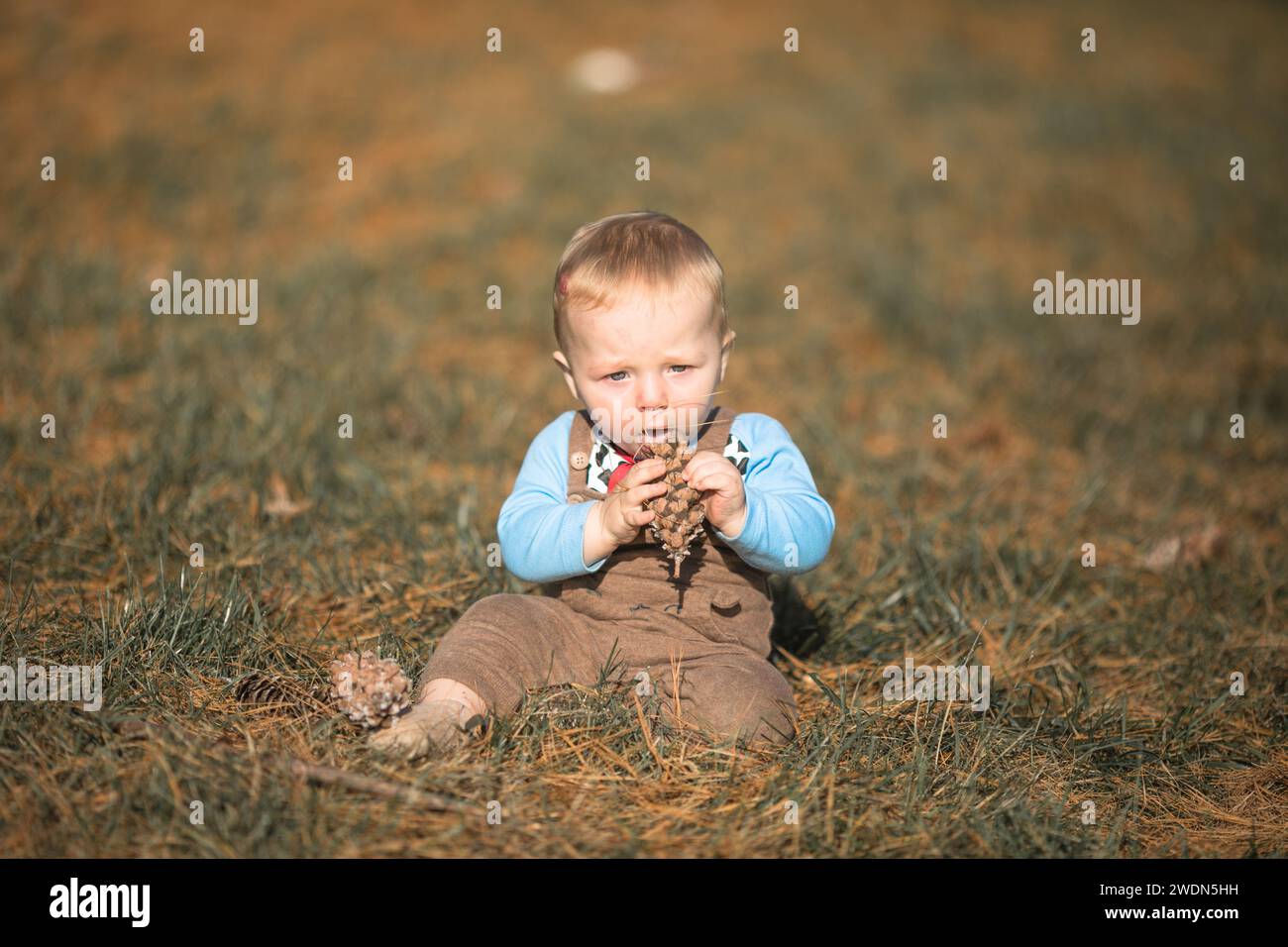 little baby boy 7 months old eating cone, walking in the fresh air ...