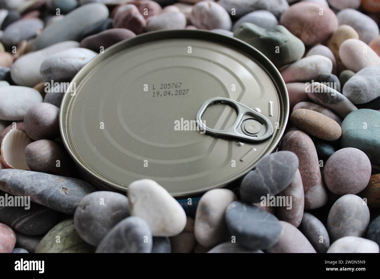 Tinned Fish Buried In Smooth Colored Sea Pebbles. Concept photo for ...