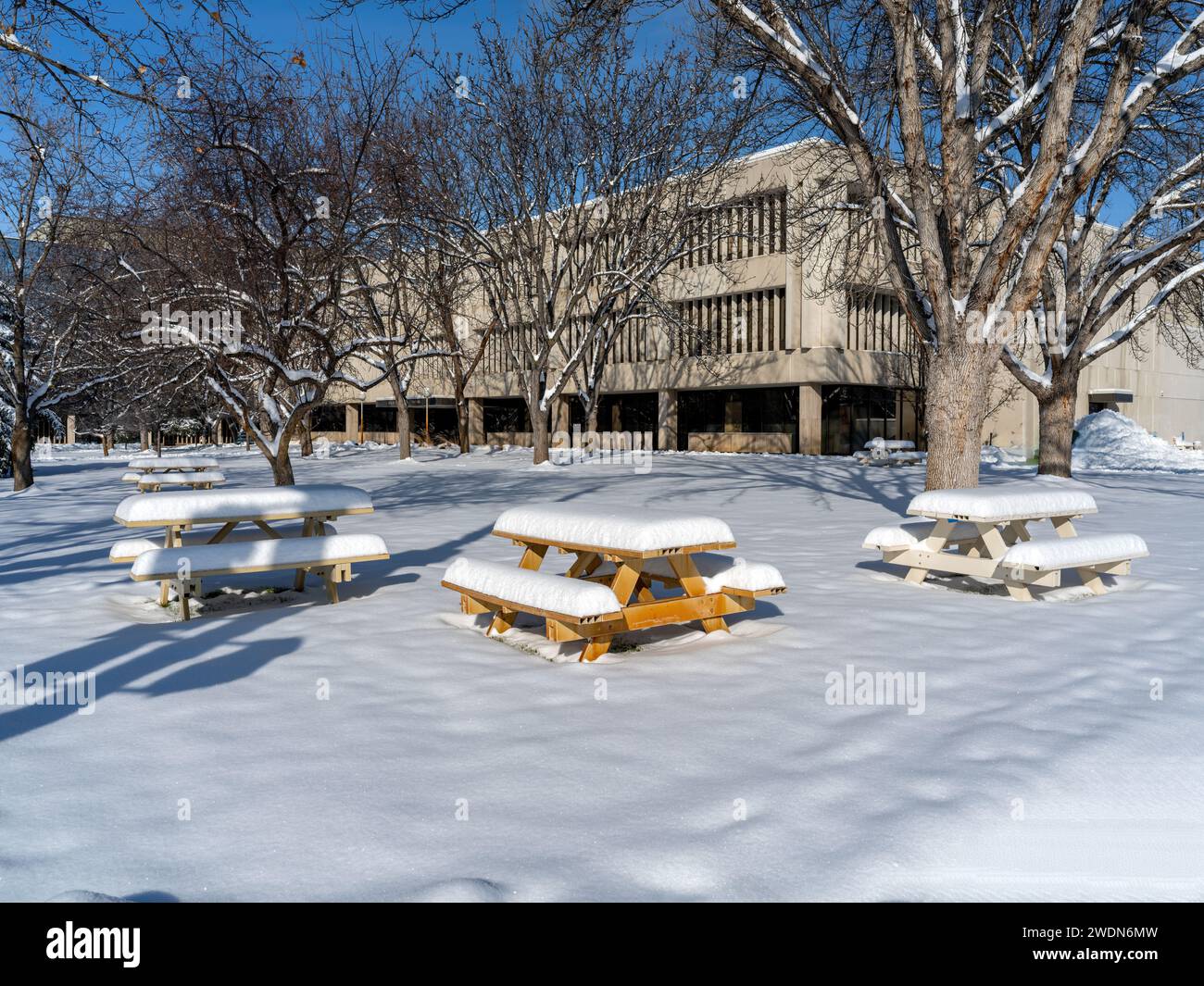 Fresh snow fallen on a popular picnic area Stock Photo - Alamy